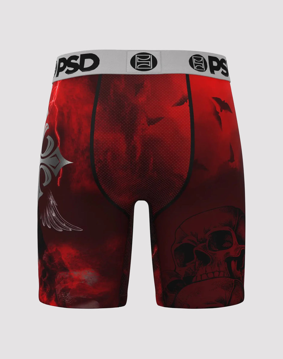 Psd Underwear Silver Wing Boxer Briefs – DTLR