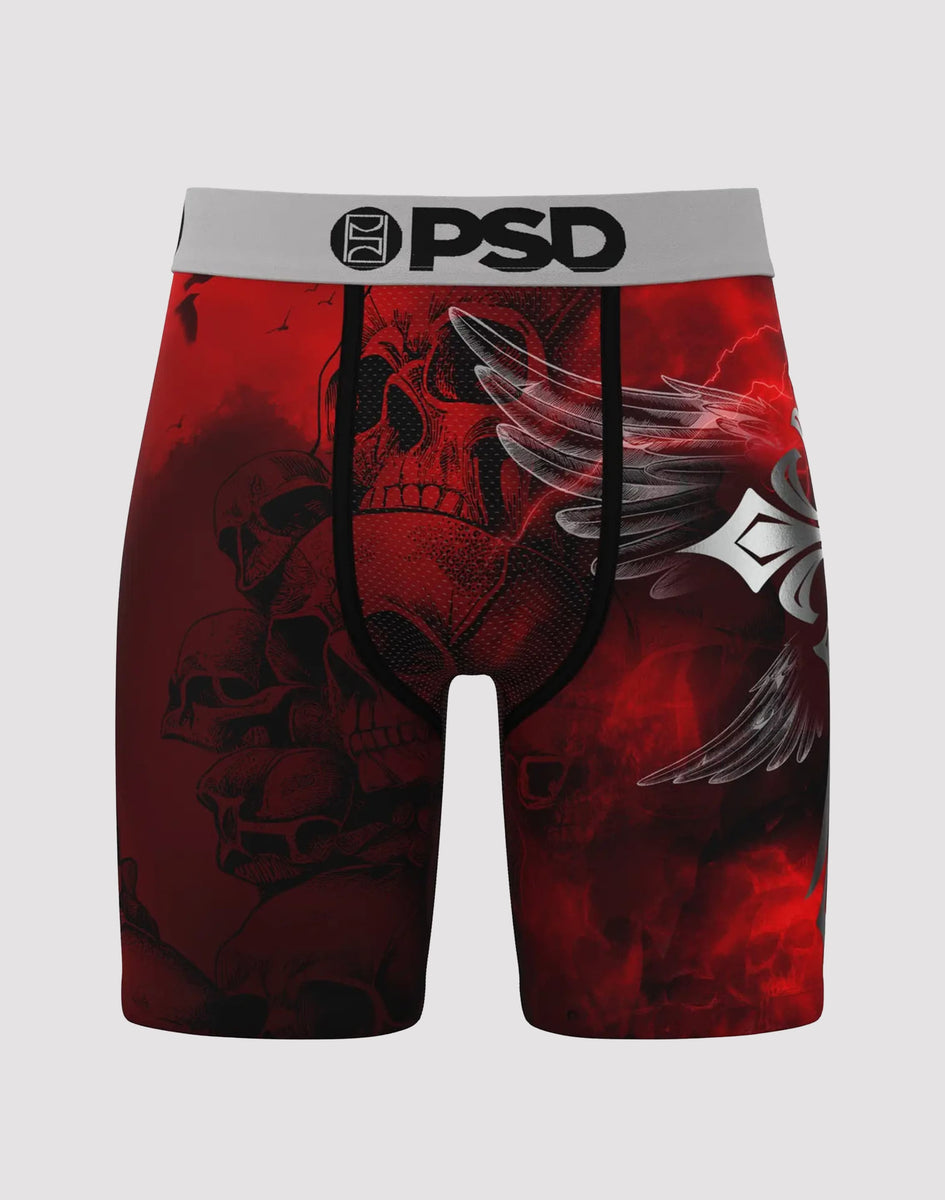 Psd Underwear Silver Wing Boxer Briefs – DTLR