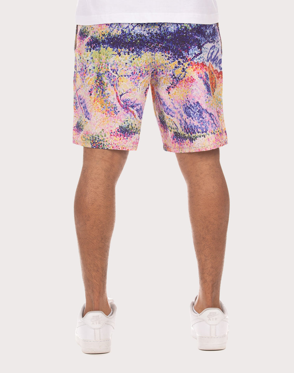 Akoo Landscape Nylon Printed Shorts – DTLR