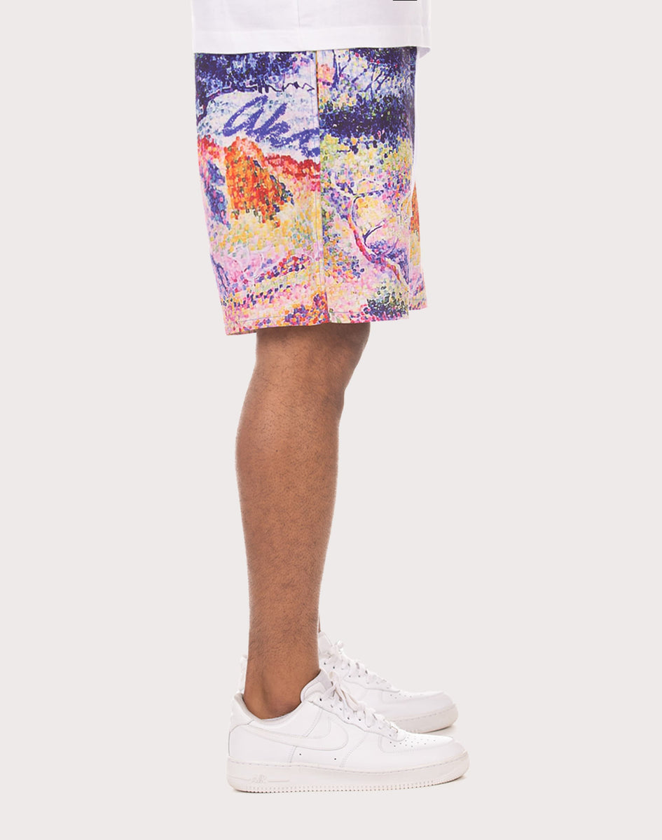 Akoo Landscape Nylon Printed Shorts – DTLR