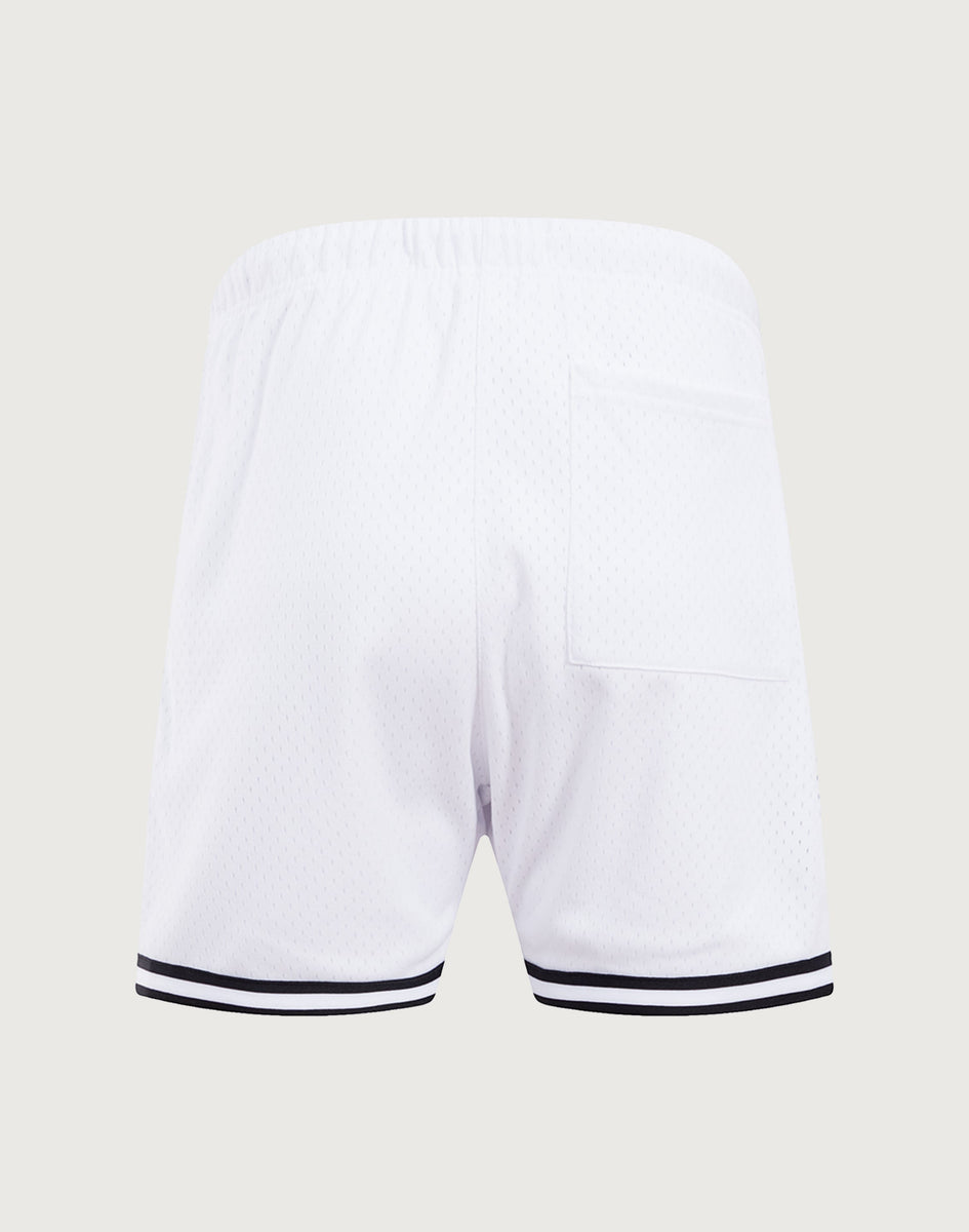 Pro Standard MLB Los Angeles Dodgers Logo Mesh Shorts – DTLR