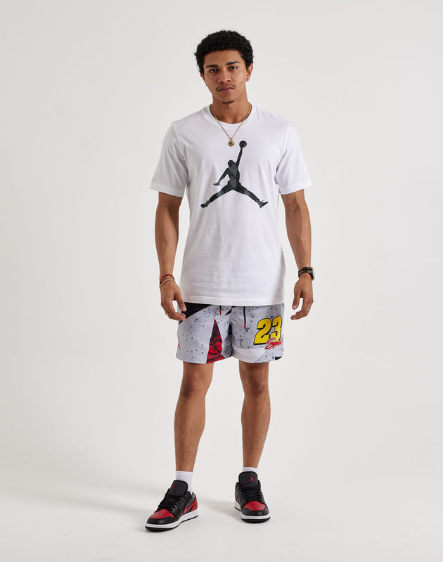 Jordan Poolside Shorts – DTLR