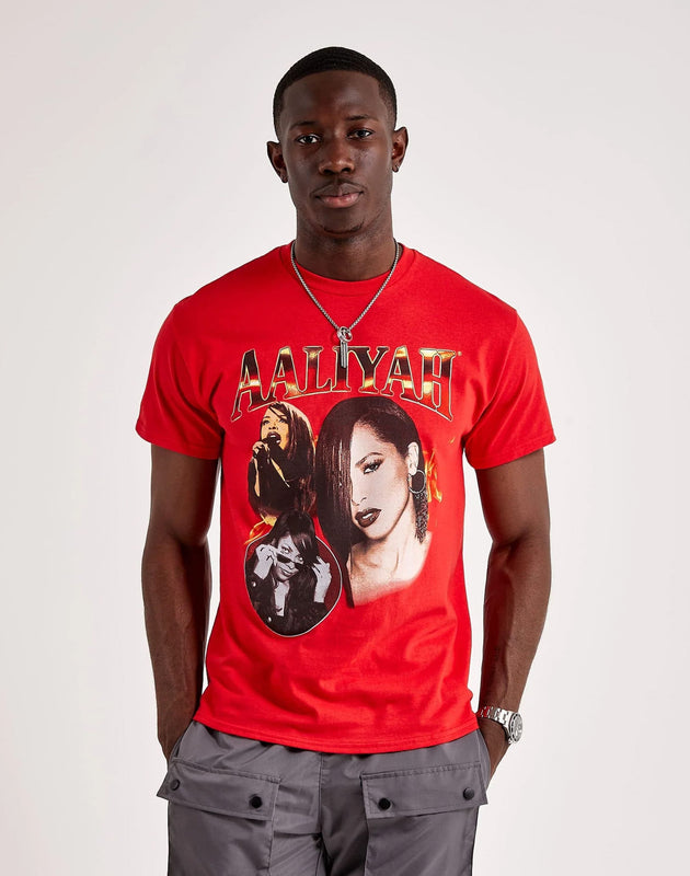 Merch Traffic Aaliyah Graphic Tee – DTLR