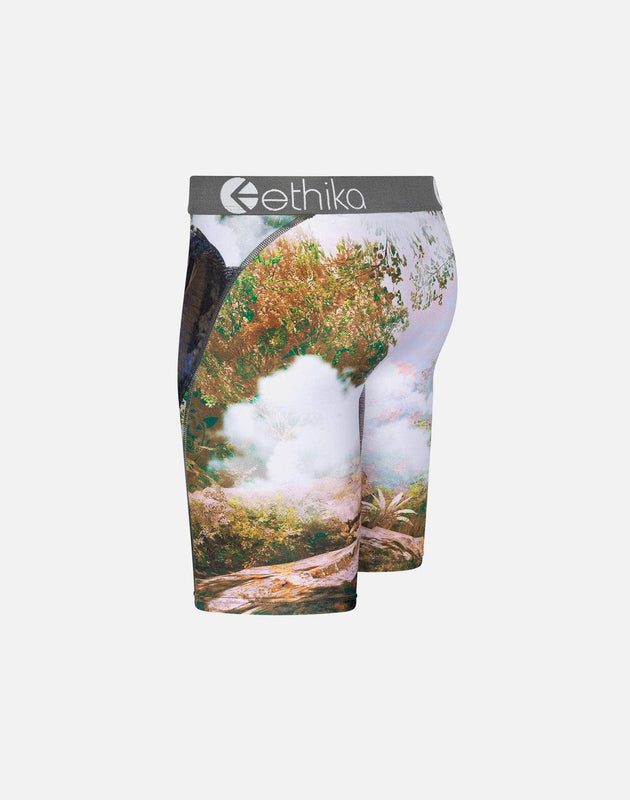 Ethika Boys' You Good? Boxer Briefs – DTLR