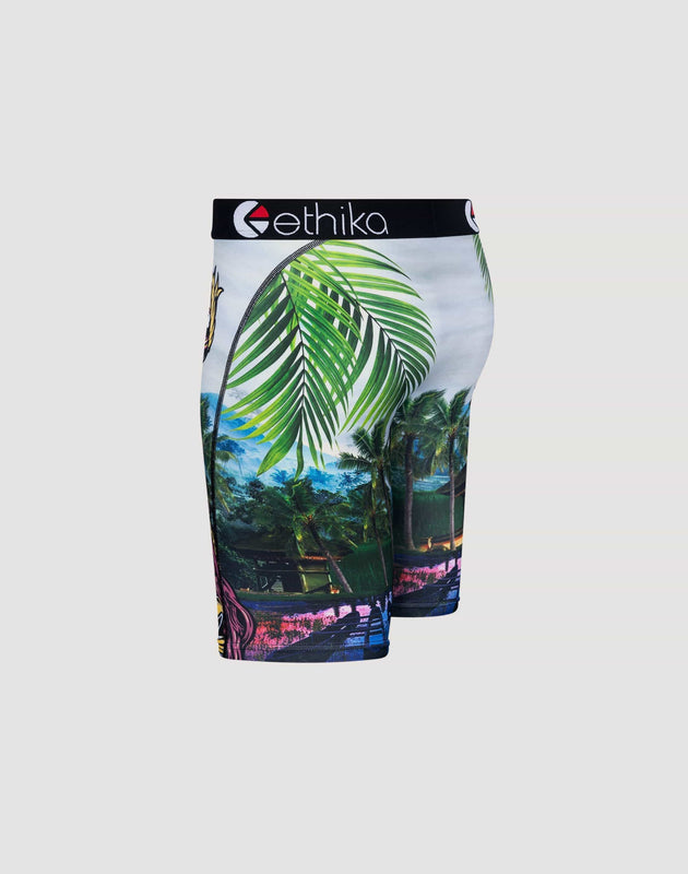 Ethika Bomber Primal Boxer Briefs – DTLR
