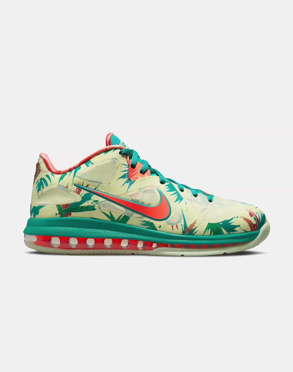 Nike Lebron Ix Low – DTLR