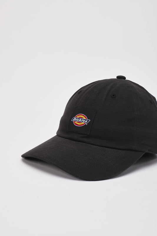 Dickies Washed Canvas Dad Cap – DTLR