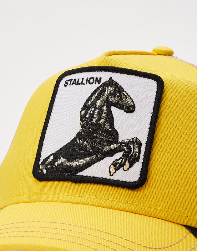 Goorin Bros The Stallion Trucker Hat – DTLR
