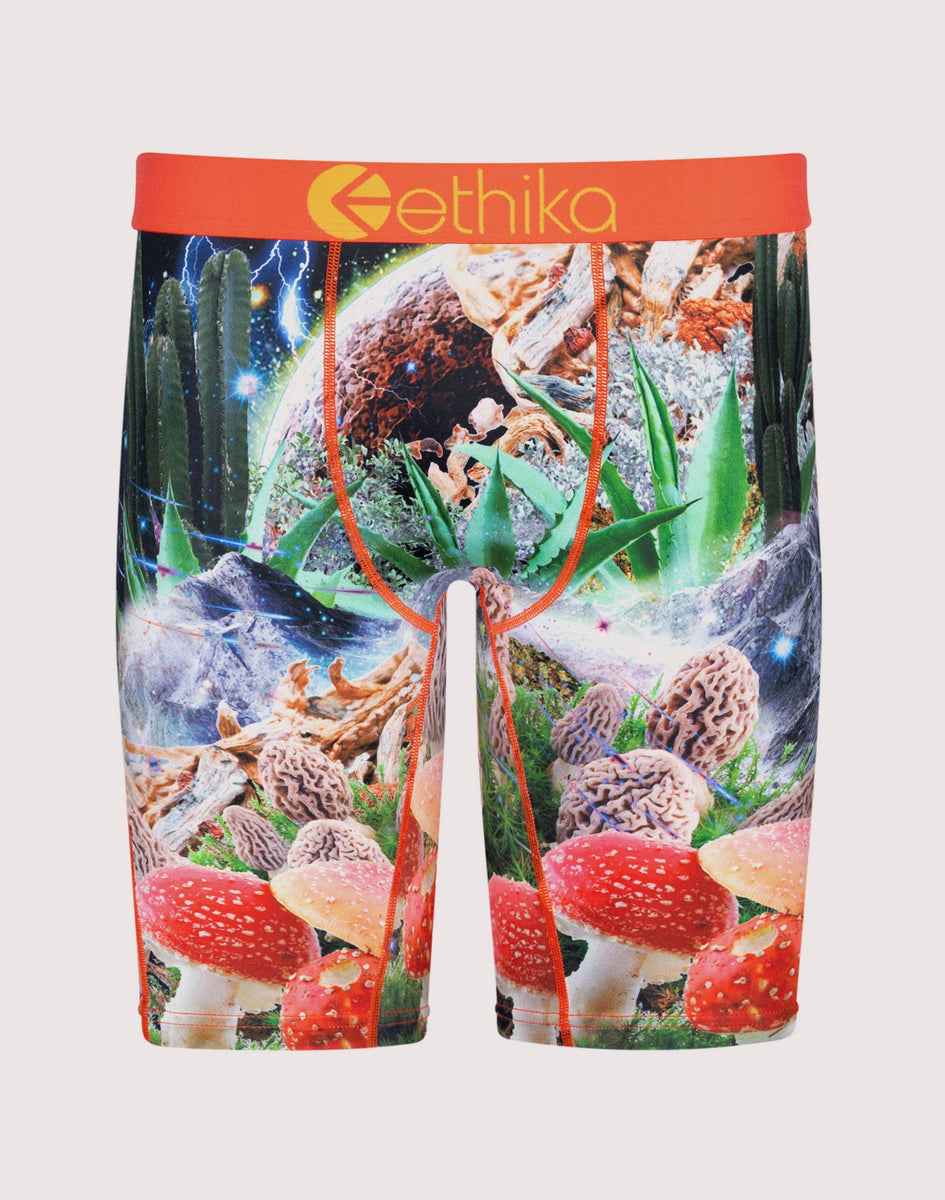 Ethika Trippy Dippy Mushrooms Boxer Briefs – DTLR