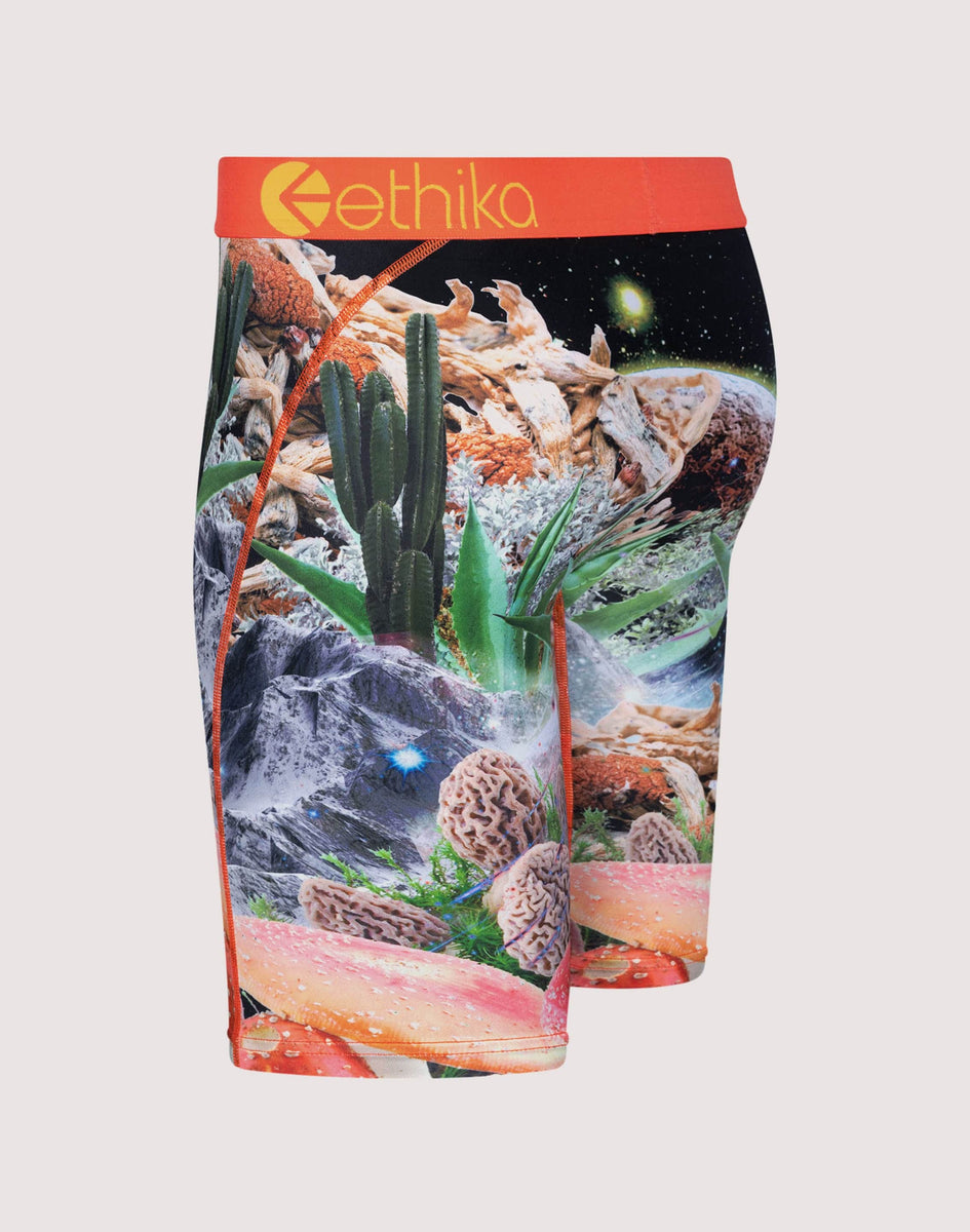 Ethika Trippy Dippy Mushrooms Boxer Briefs – DTLR