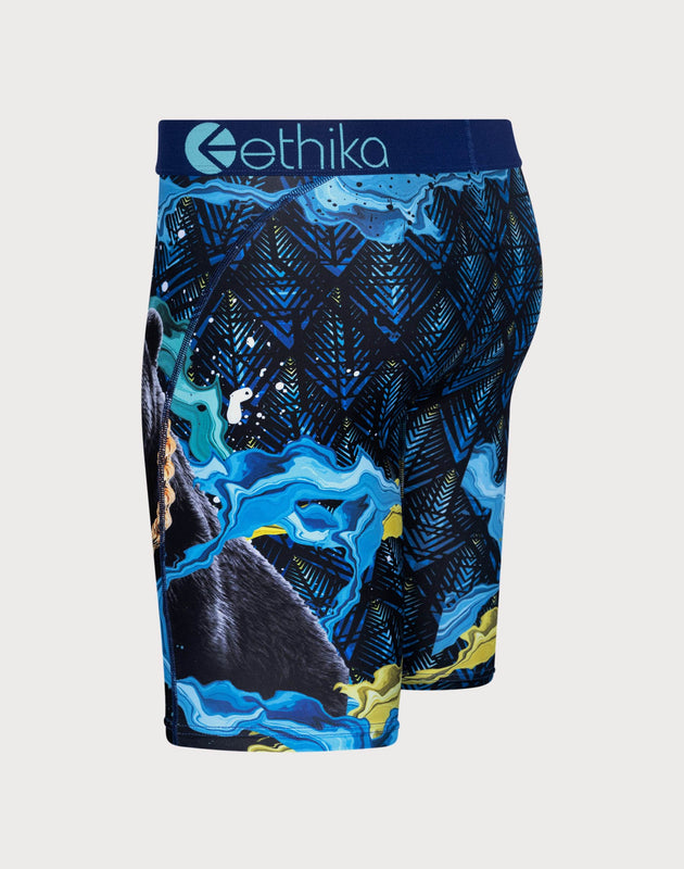 Ethika Kingdom Boxer Briefs – DTLR