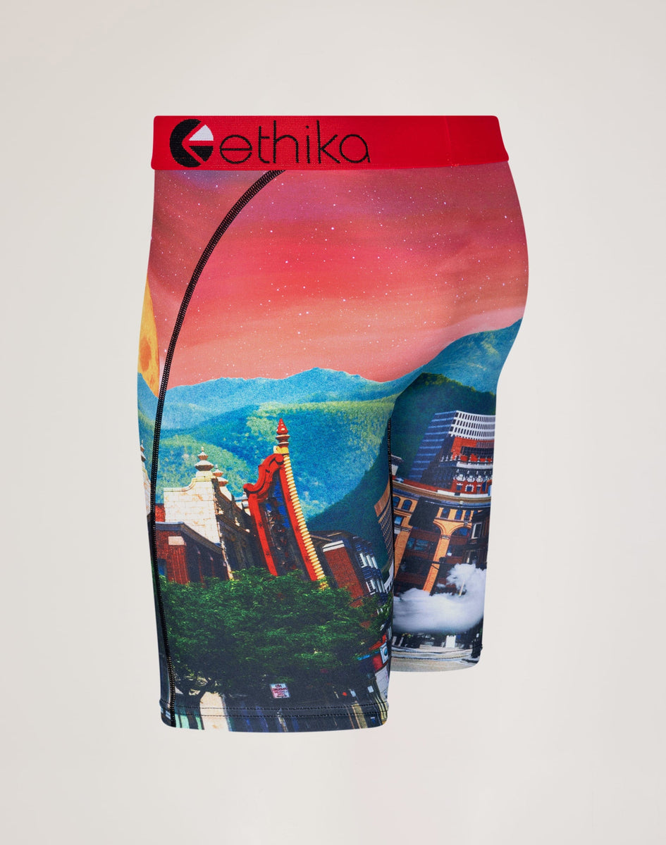 Ethika Astro Zoo Boxer Briefs – DTLR