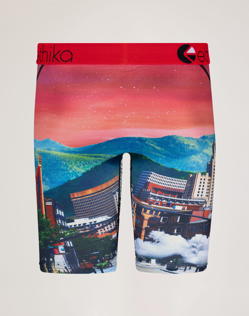 Ethika Astro Zoo Boxer Briefs – DTLR