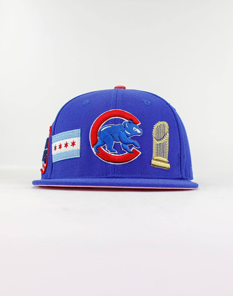 Pro Standard Mlb Chicago Cubs Double Front Logo Snapback – DTLR