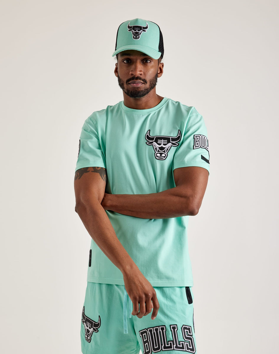 Pro Standard Chicago Bulls Tee – DTLR