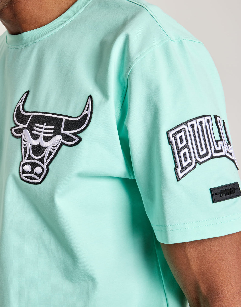 Pro Standard Chicago Bulls Tee – DTLR