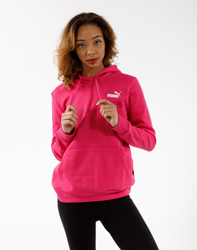 Puma ESSENTIALS SMALL LOGO PRIDE HOODIE – DTLR