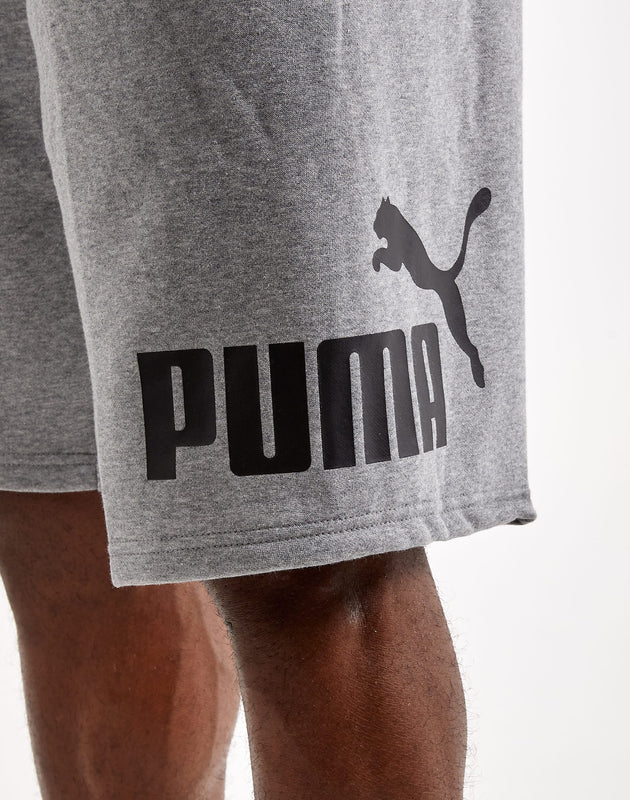 Puma Big Fleece Logo Shorts – DTLR
