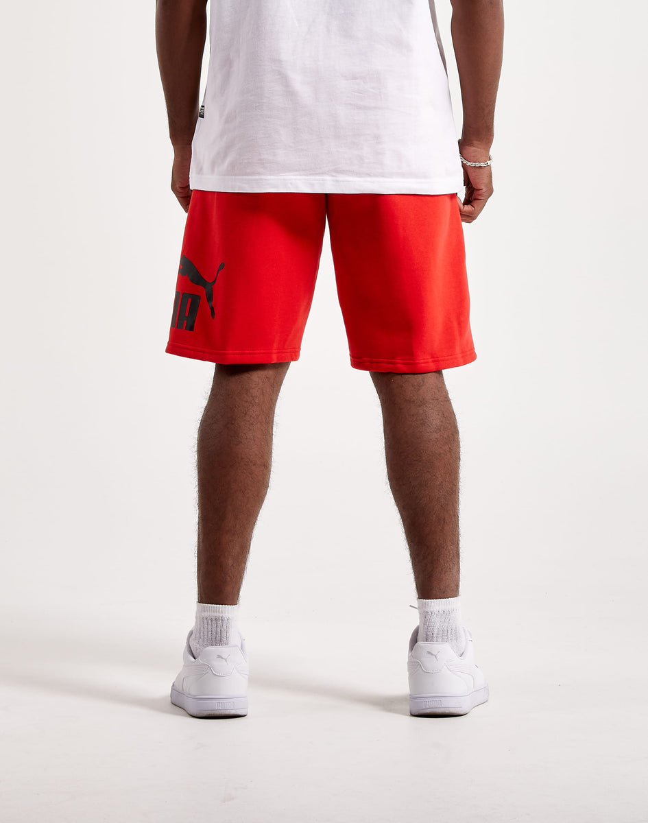 Puma Big Fleece Logo Shorts – DTLR