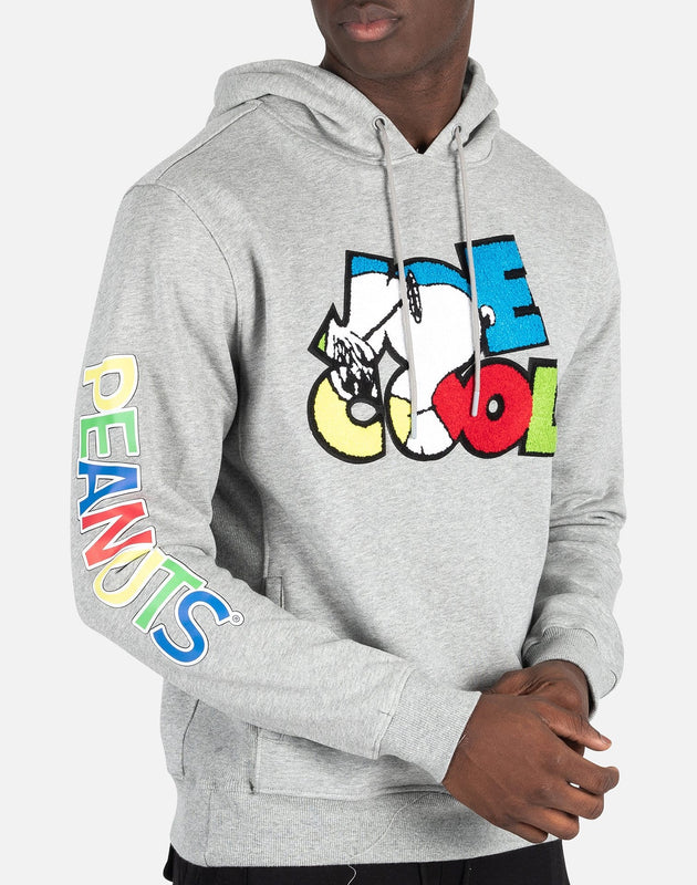 Freeze Max PEANUTS JOE COOL HOODIE – DTLR