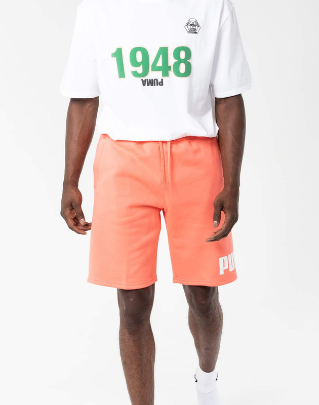 Puma Big Fleece Logo Shorts – DTLR