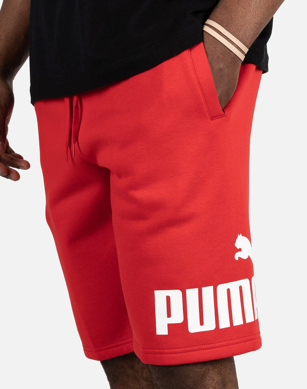 Puma BIG FLEECE LOGO SHORTS – DTLR