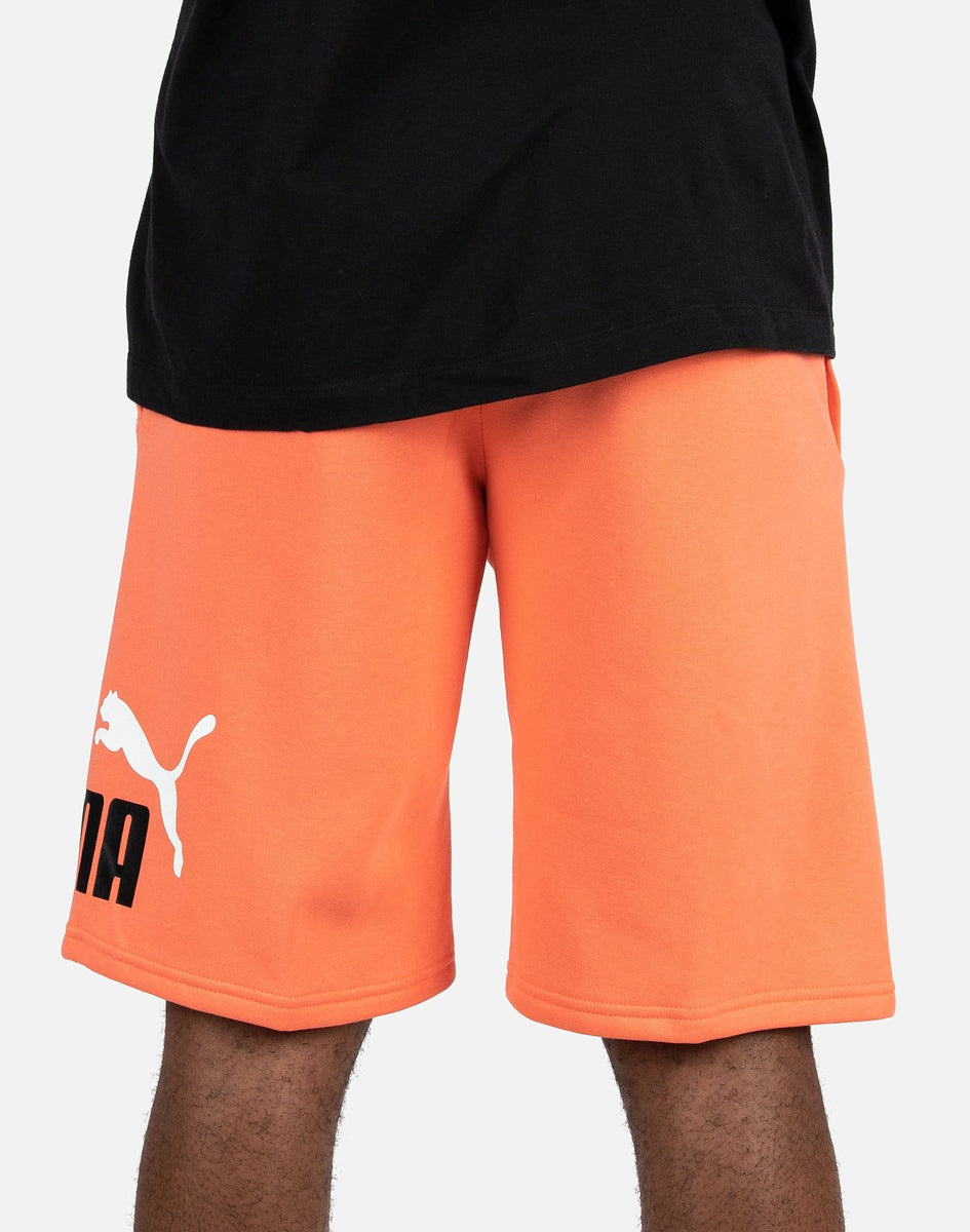 Puma Big Fleece Logo Shorts – DTLR
