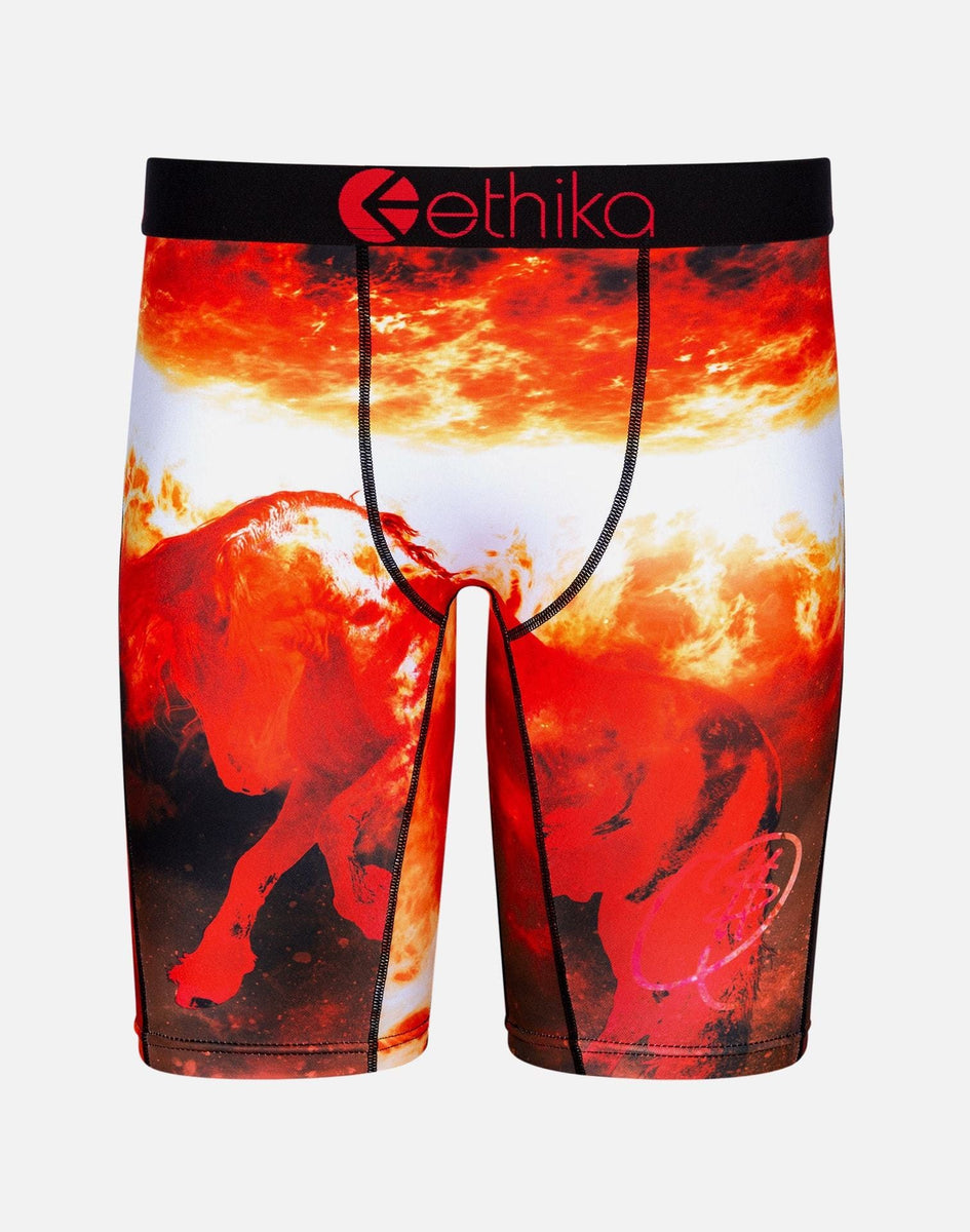 Ethika Q MONEY BE FREE BOXER BRIEFS – DTLR